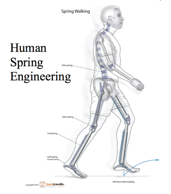 INTRODUCTION - Thoracic Outlet Syndrome