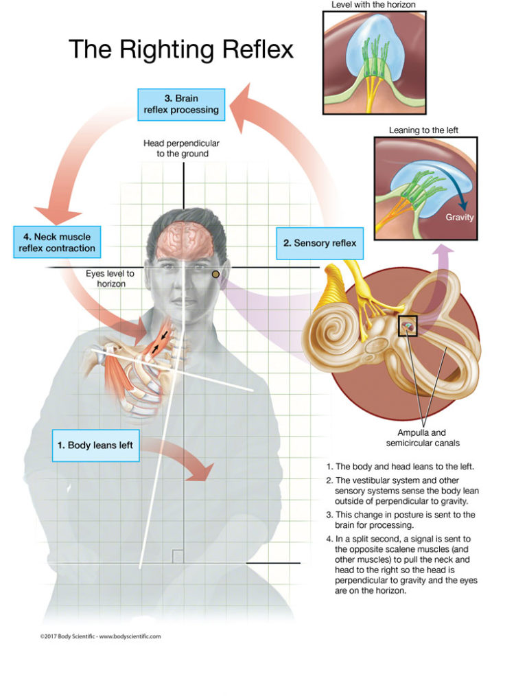 The TOS Examination Archives - Thoracic Outlet Syndrome