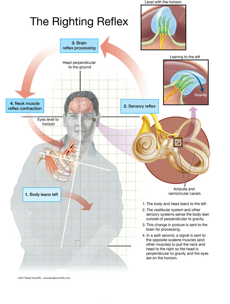 What is TOS? Archives - Thoracic Outlet Syndrome