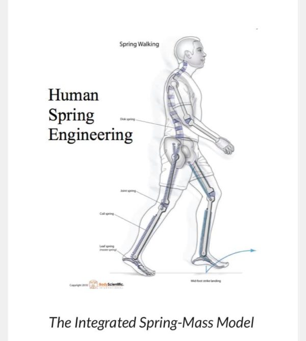 Why must your doctor know human spring biomechanics to treat your ...