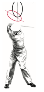 Why must your doctor know human spring biomechanics to treat your ...