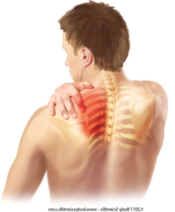 The Chapter summaries of the #1 International Bestselling Book, The ...