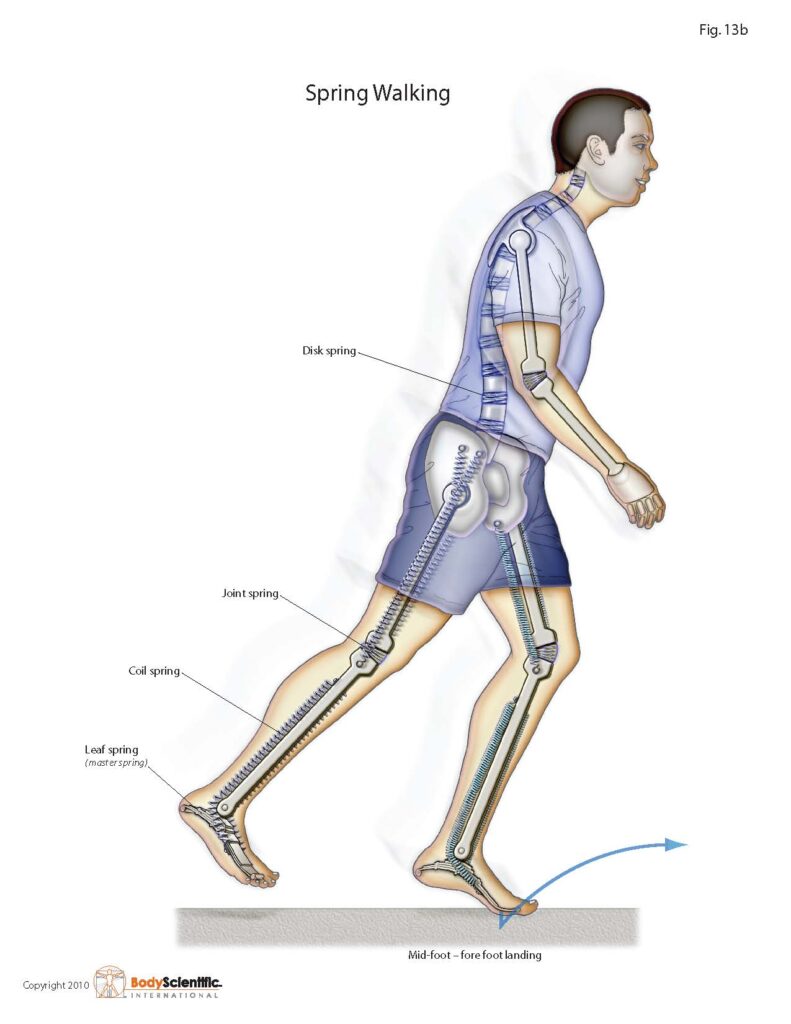 The Chapter summaries of the #1 International Bestselling Book, The ...